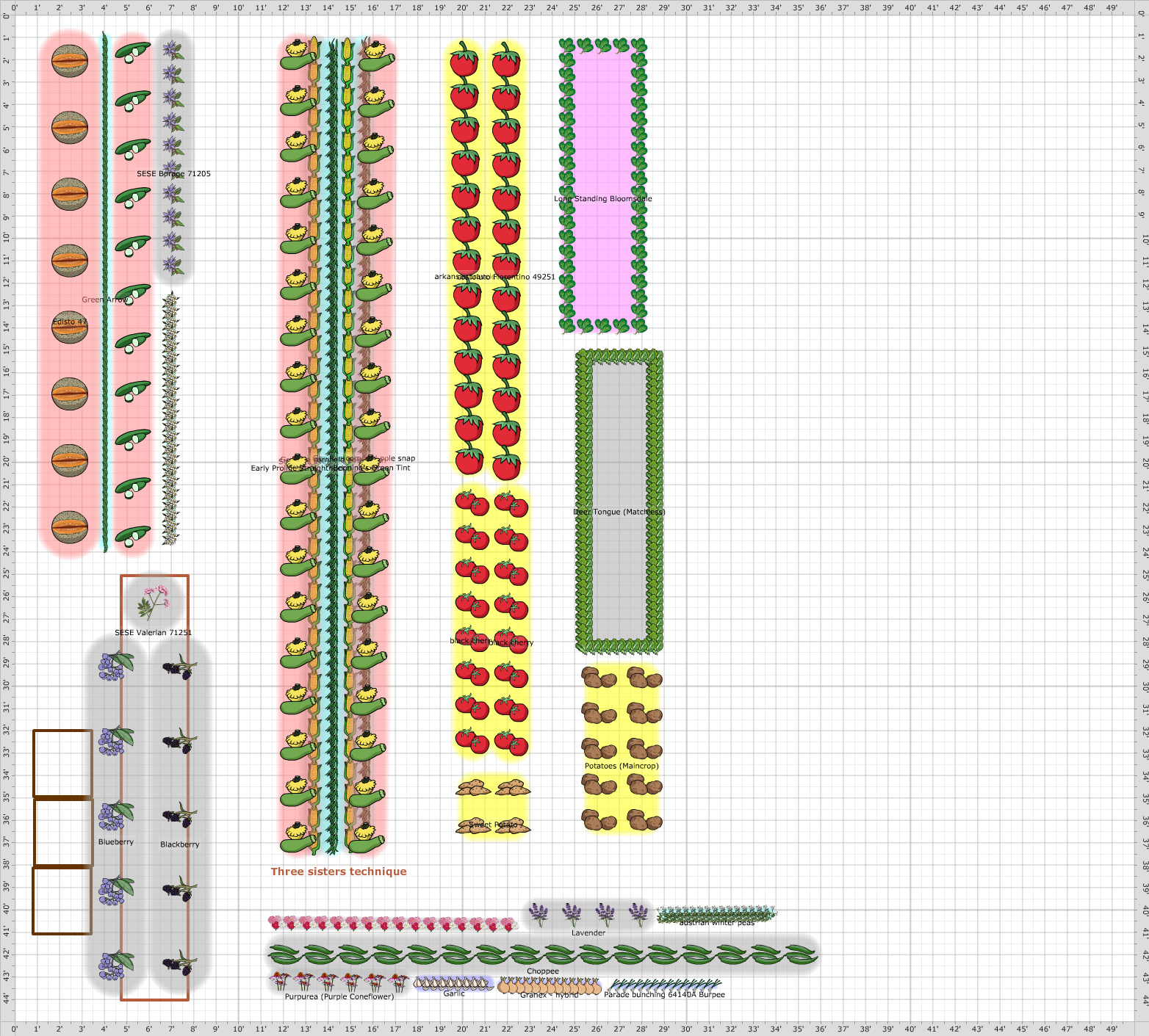 Garden Plan - 2017: Back garden