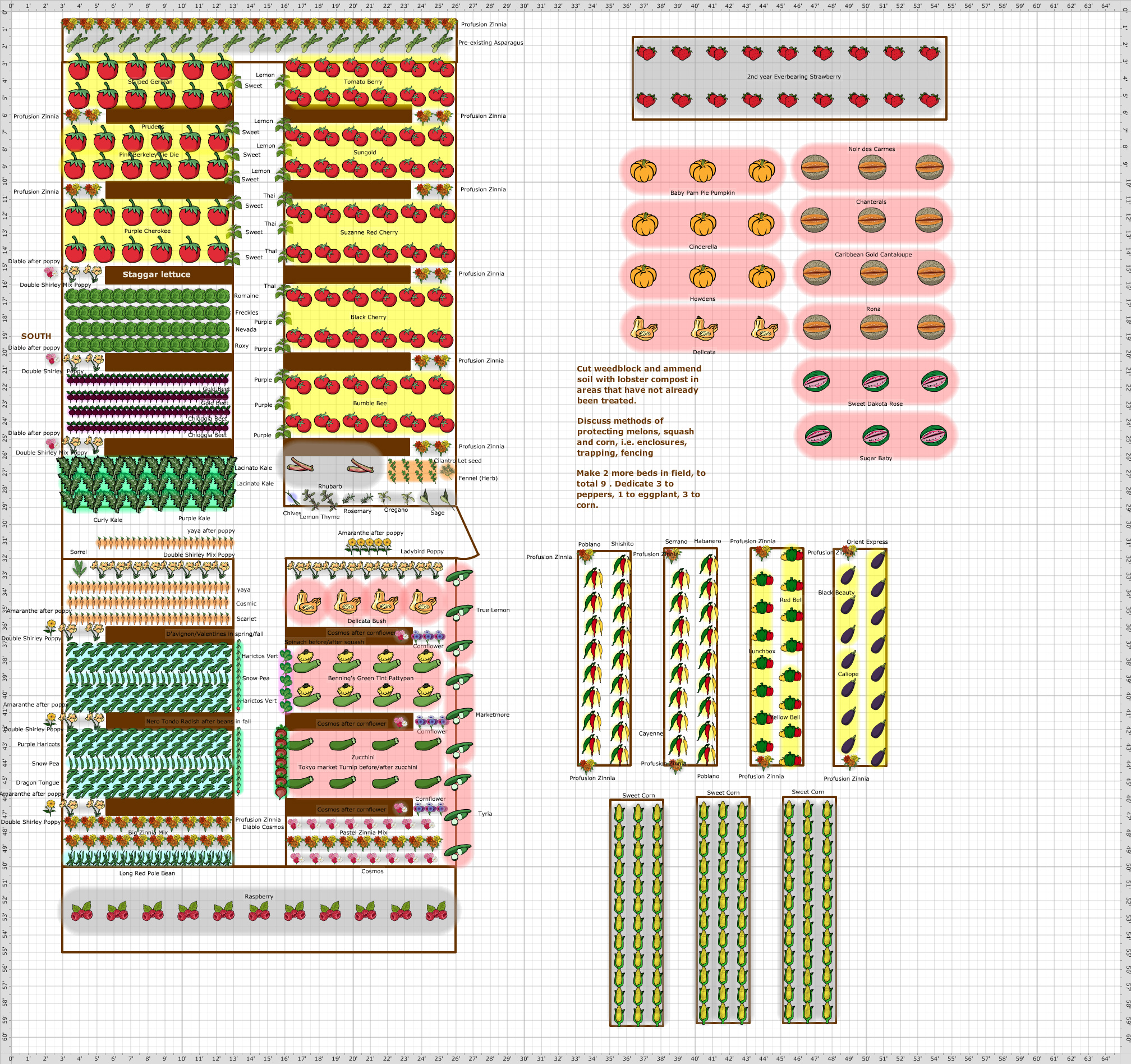 Garden Plan - 2017: Ruprecht