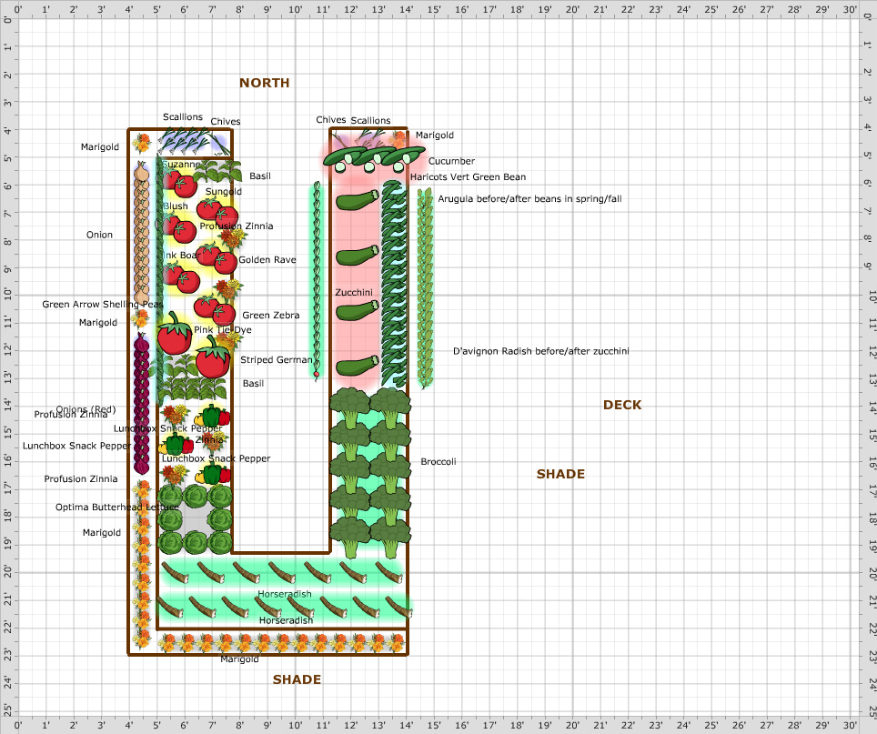 Garden Plan - 2017: Rosenfeld