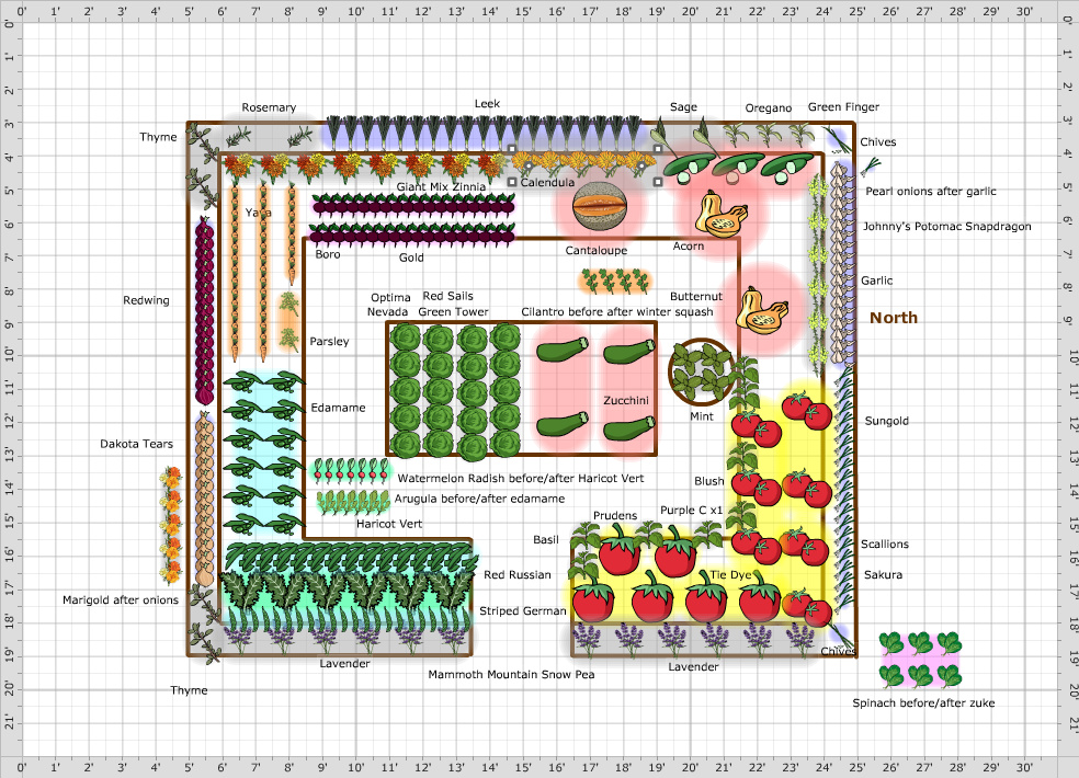 Garden Plan - 2017: Pogue
