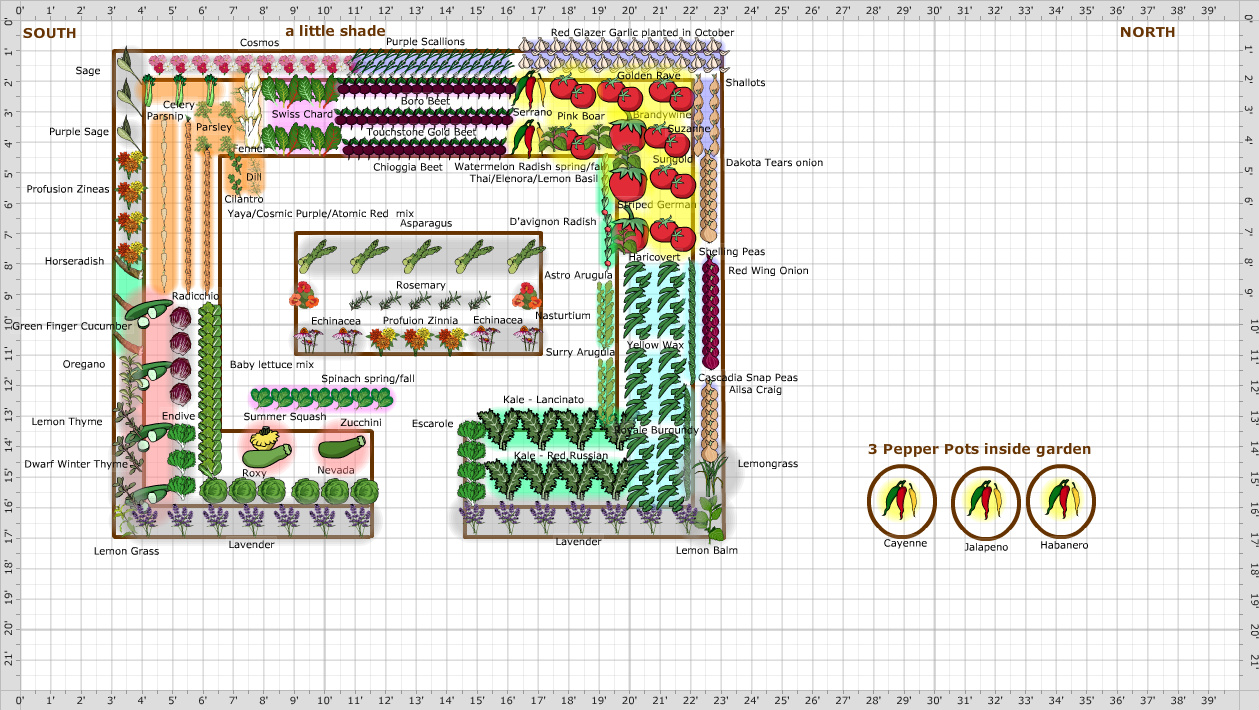 Garden Plan - 2017: Deane