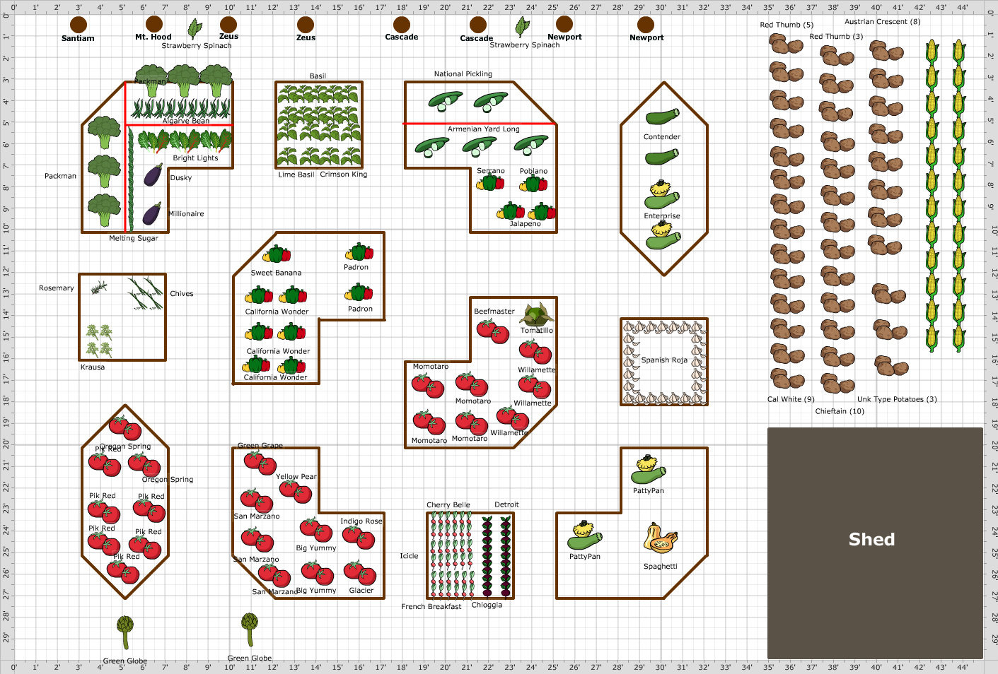 Garden Plan - 2017: Garden