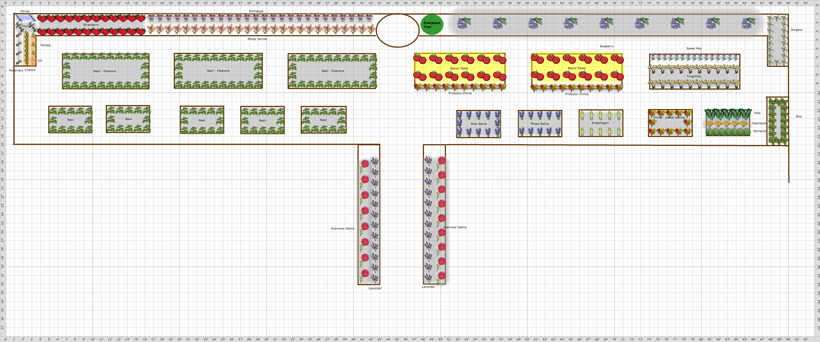 Garden Plan - 2017: Paridis