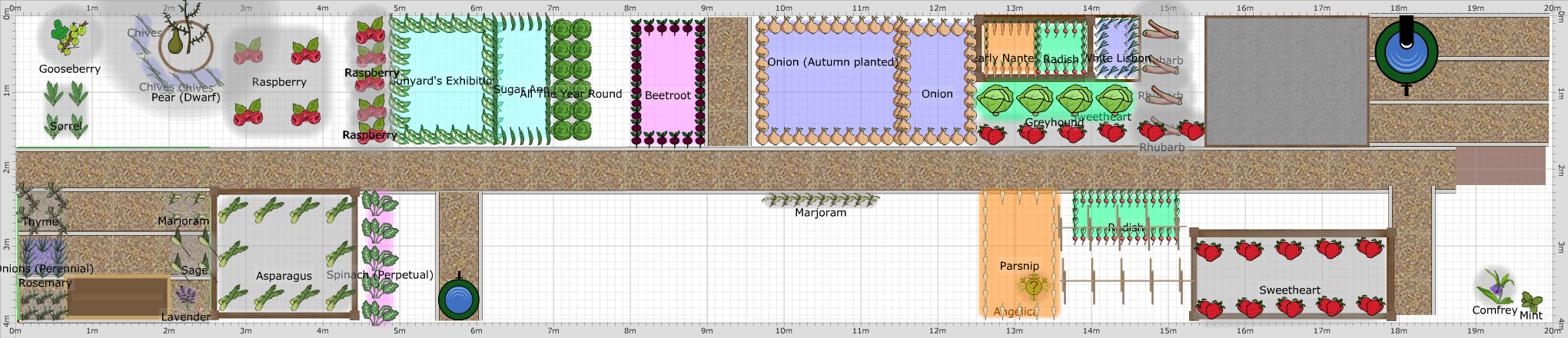 Garden Plan - 2017: Allotment