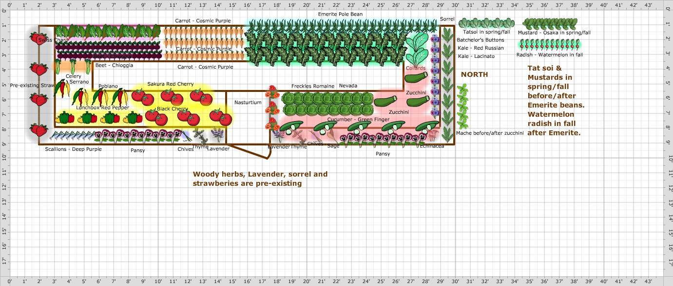 Garden Plan - 2017: Adair