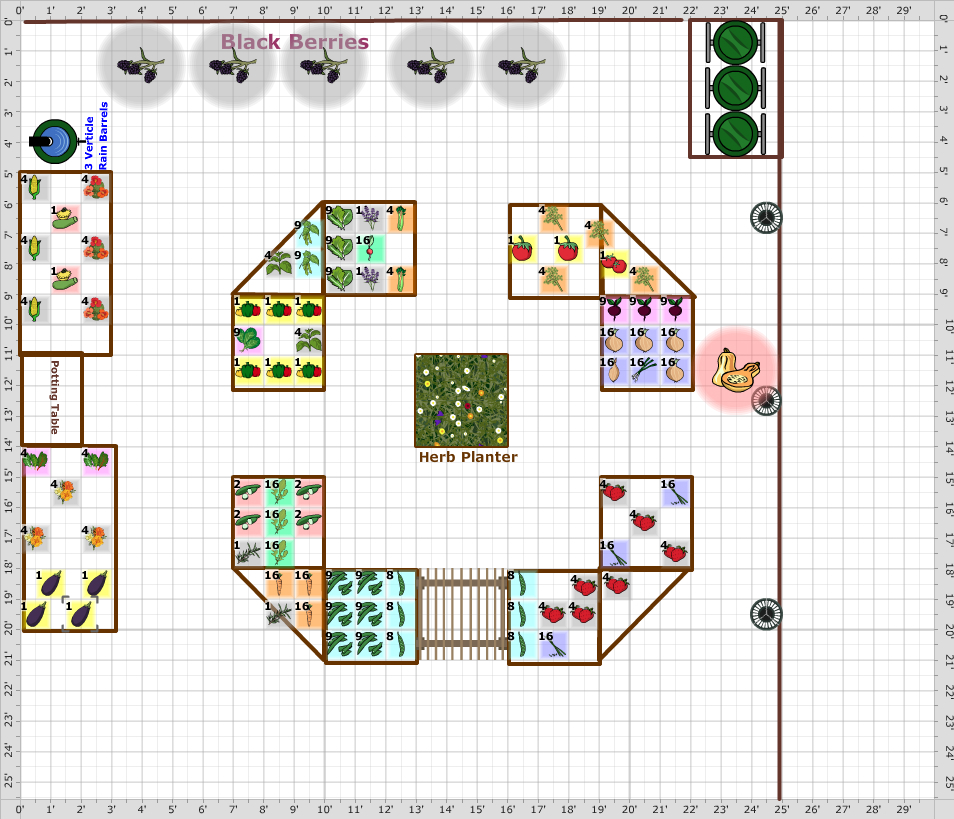 Garden Plan - 2017: Main Garden