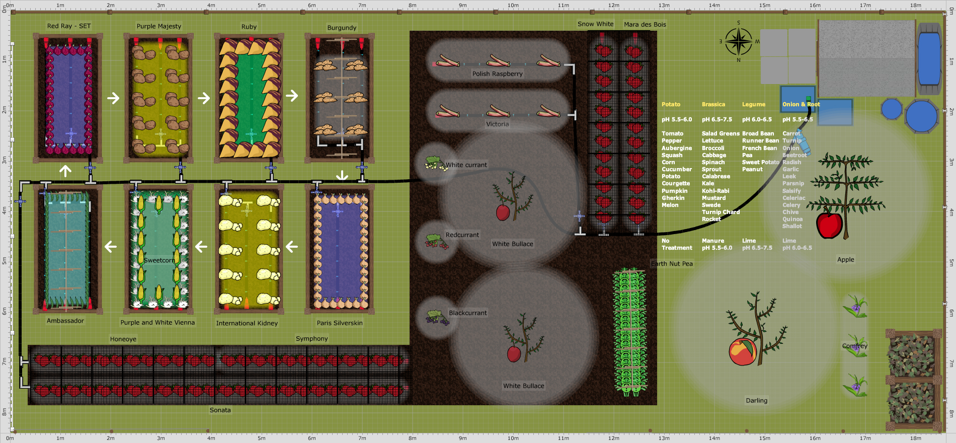 Garden Plan - 2017: Allotment