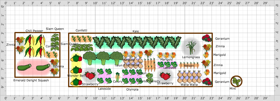 Garden Plan - 2017: First Garden