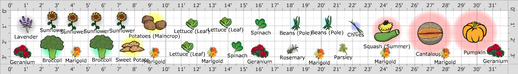 Garden Plan - 2017: side strip