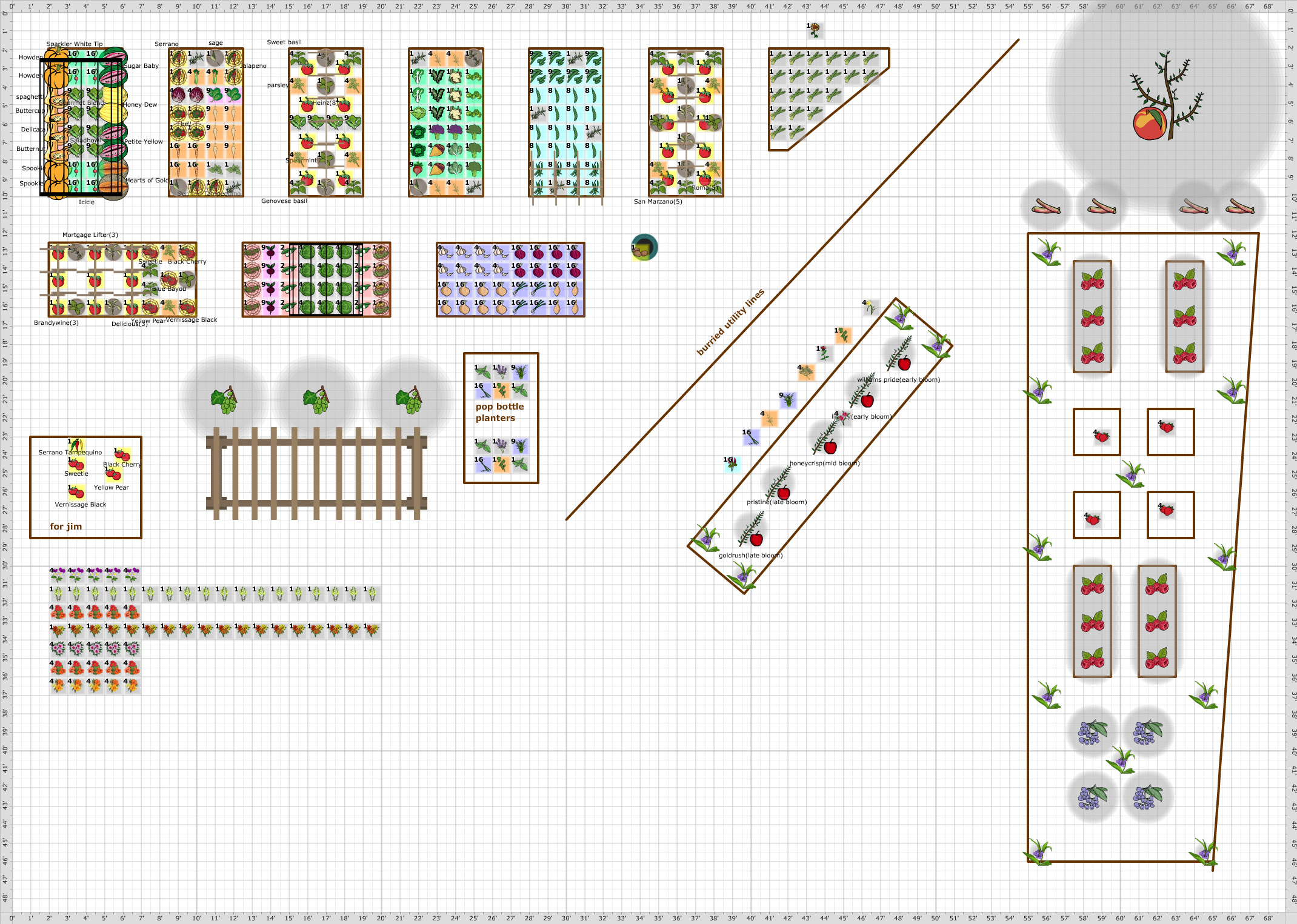 Garden Plan - 2018: strong