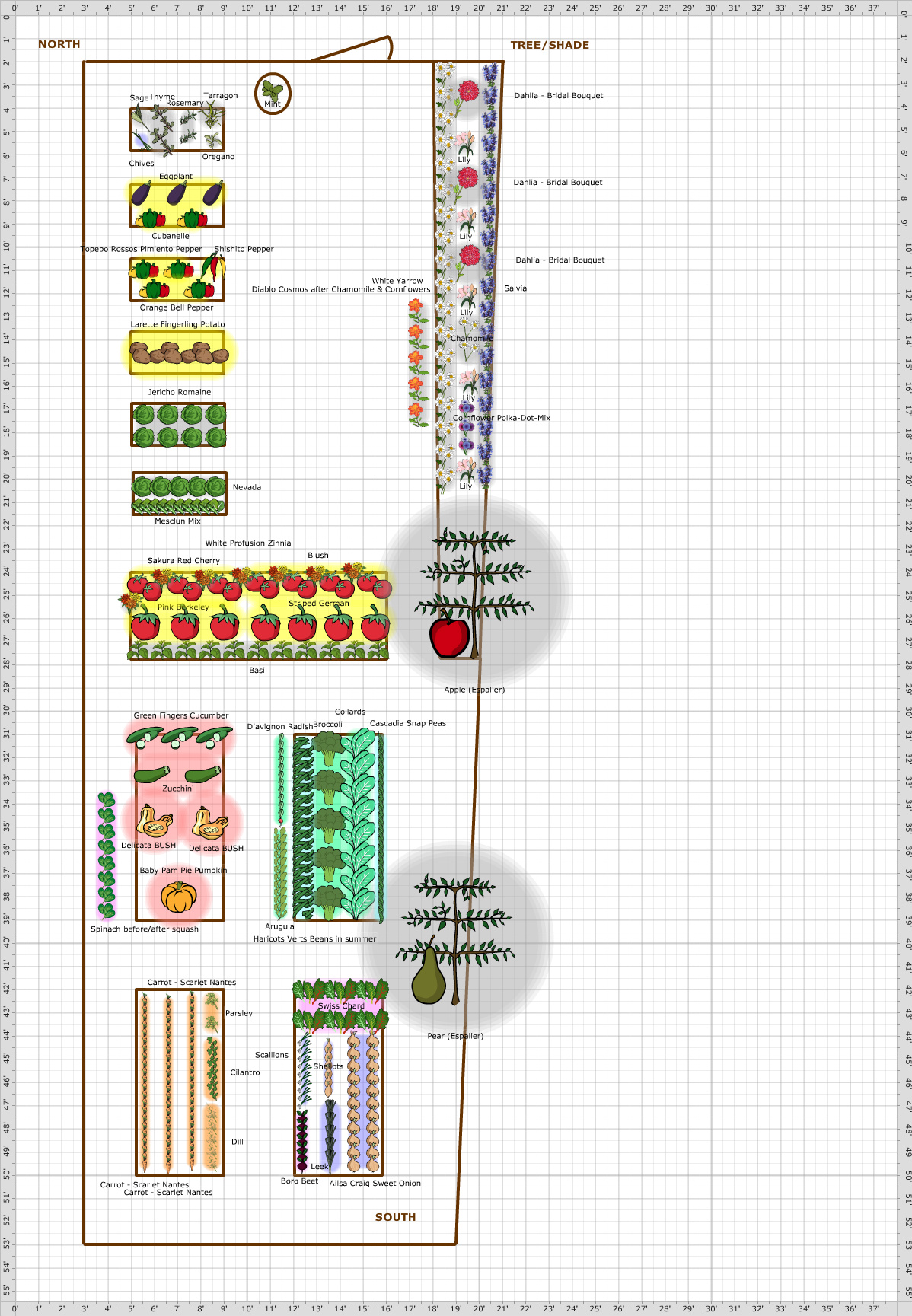 Garden Plan - 2017: Patricio