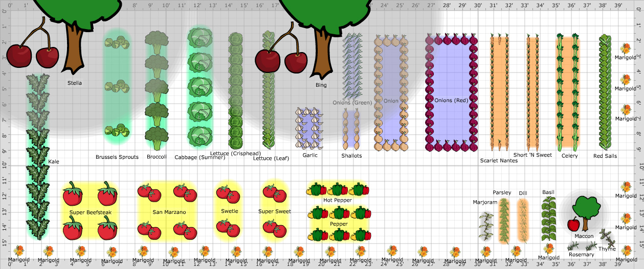 Garden Plan - 2017: Fort Street