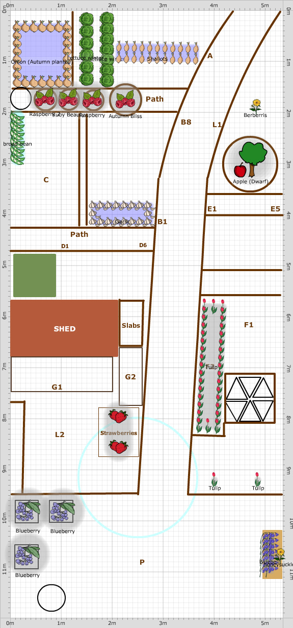 Garden Plan - 2018: Back