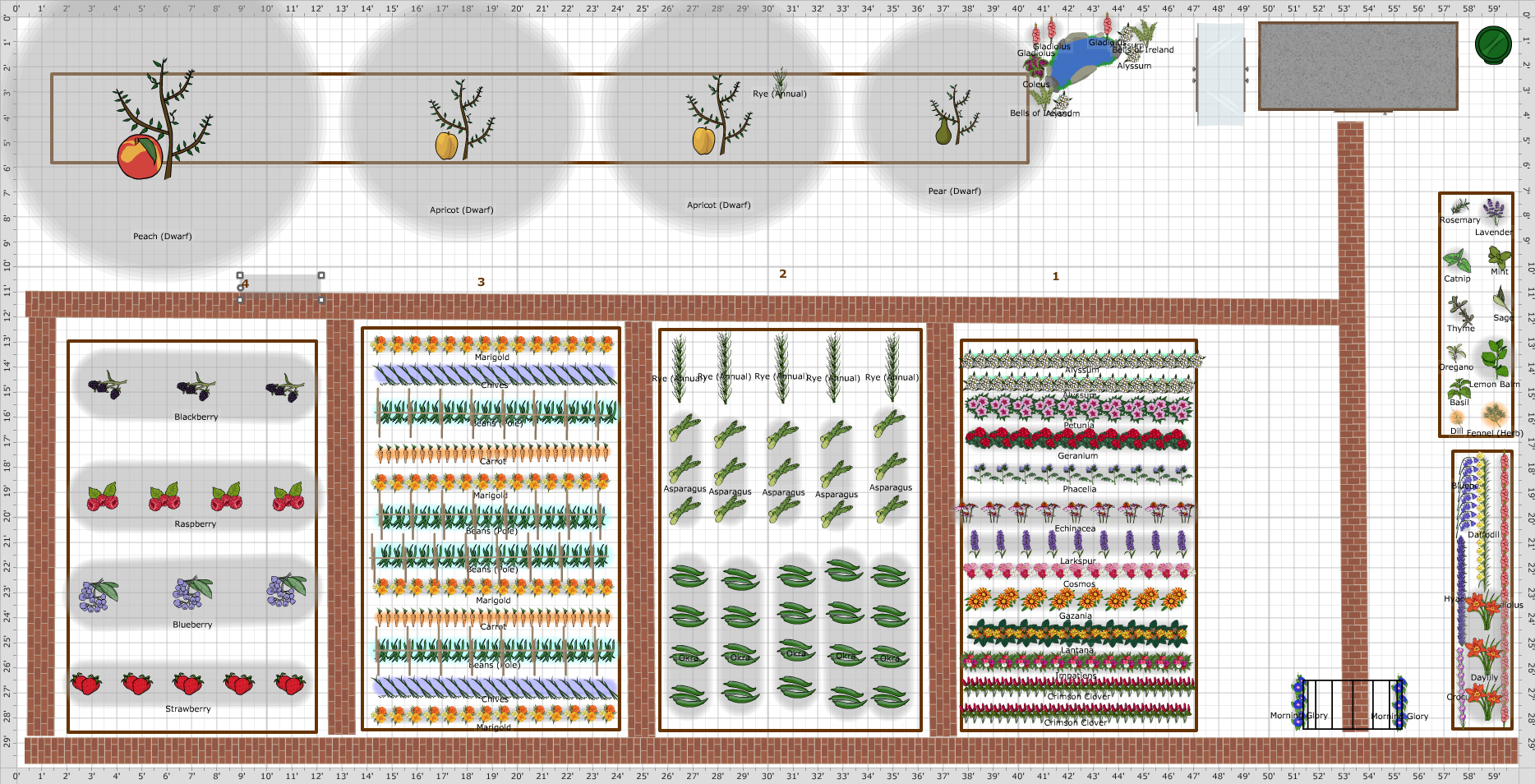 Garden Plan - Veggie Garden Hort. Project