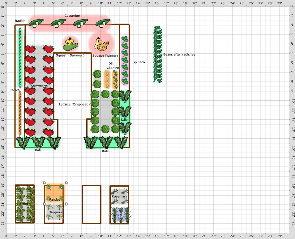 Garden Plan - 2017: Bono