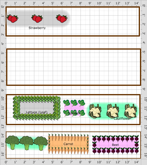 Garden Plan - 2018: Row Plan