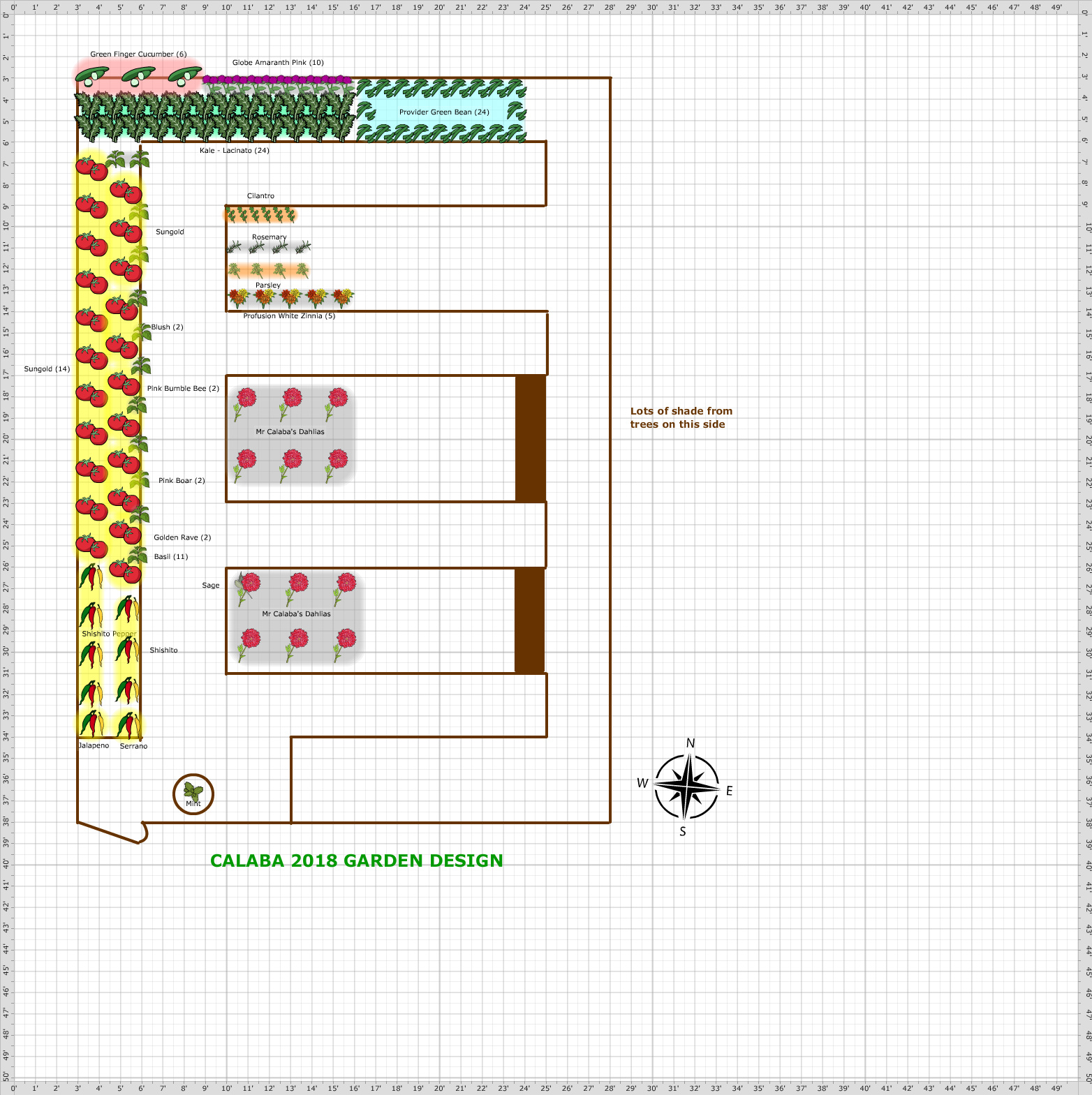 Garden Plan - 2018: Calaba B
