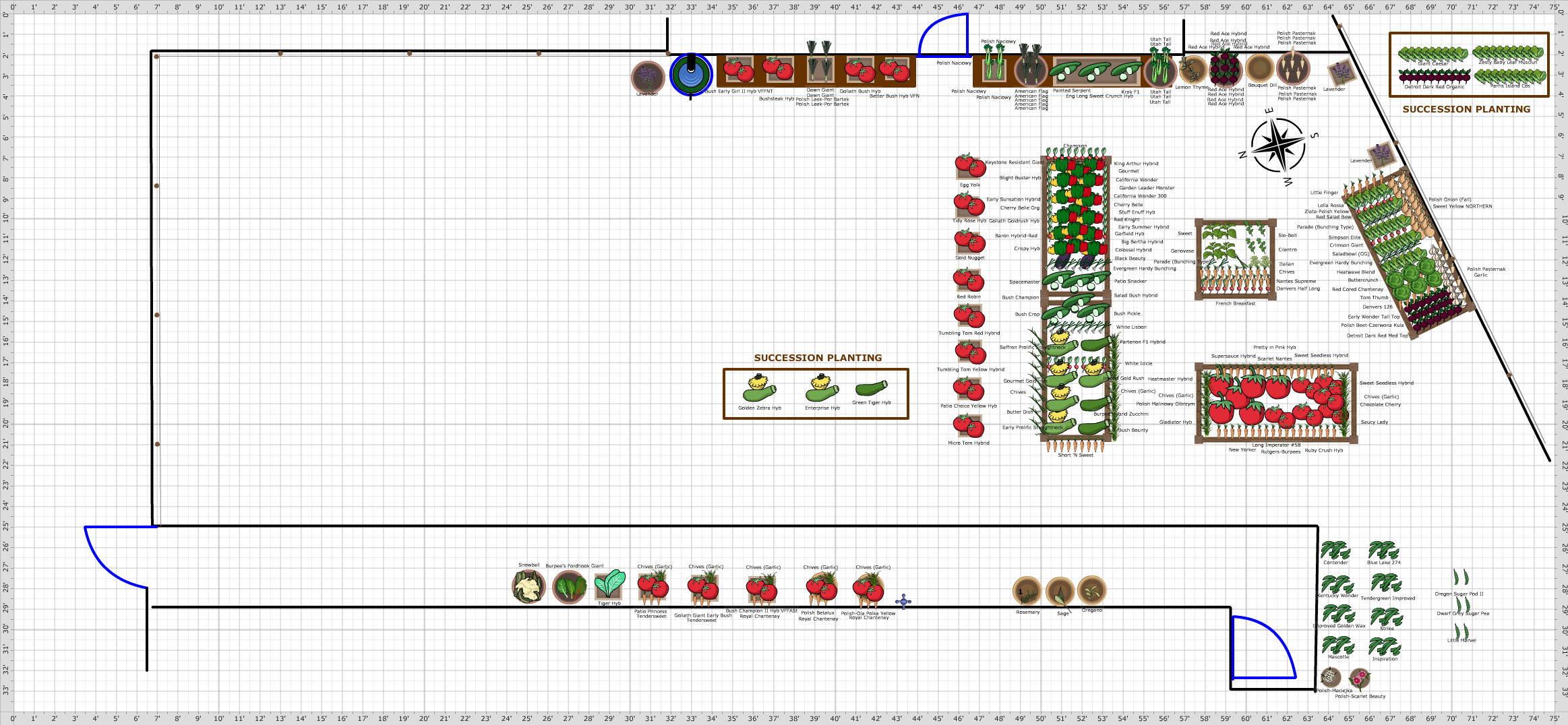 Garden Plan - 2018: Omar's Garden