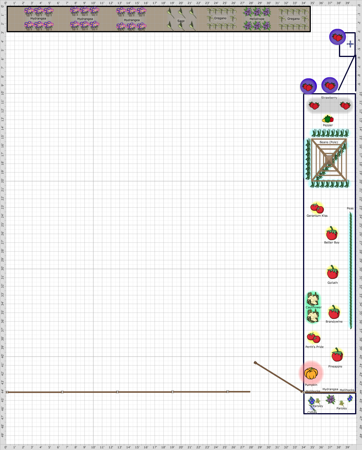 Garden Plan - 2020: back yard