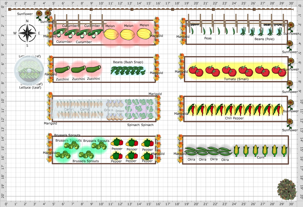 Garden Plan - 2018: garden