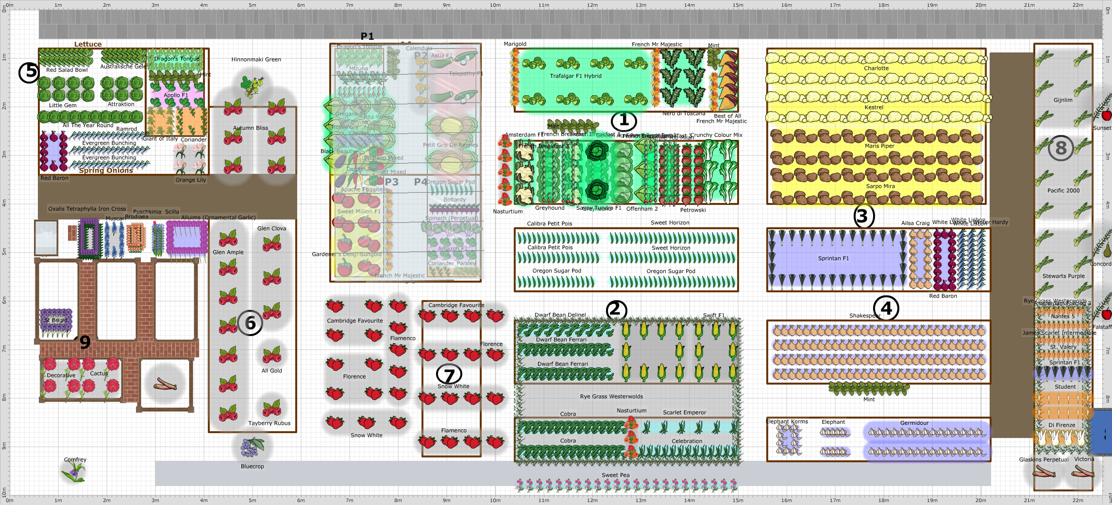 Garden Plan - 2019: 1st Allotment