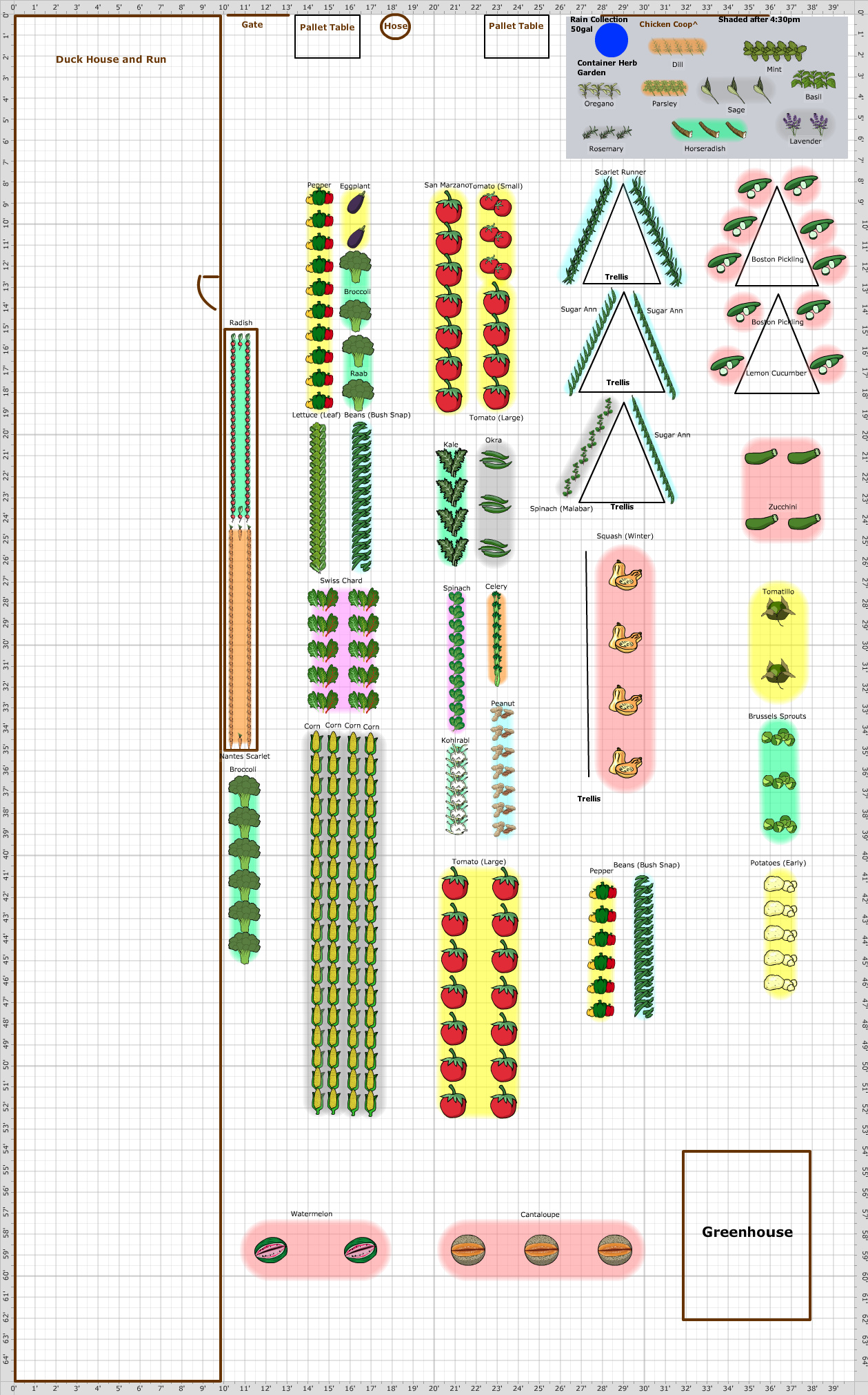 Garden Plan - 2019: Main Garden