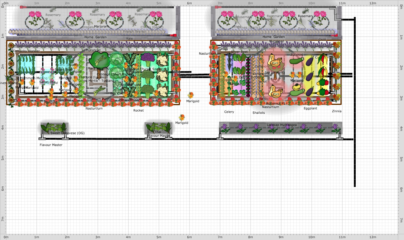 Garden Plan - 2019: Summer 2019
