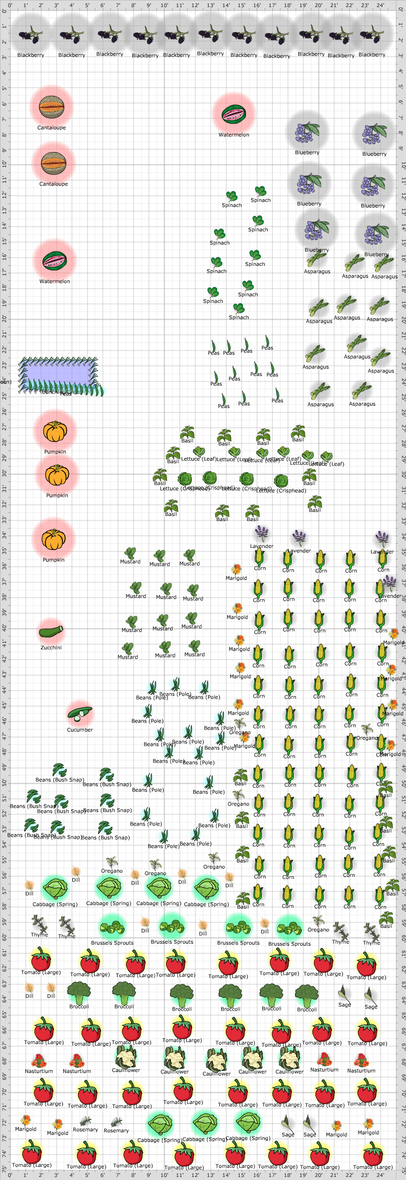 Garden Plan - 2019: BACK