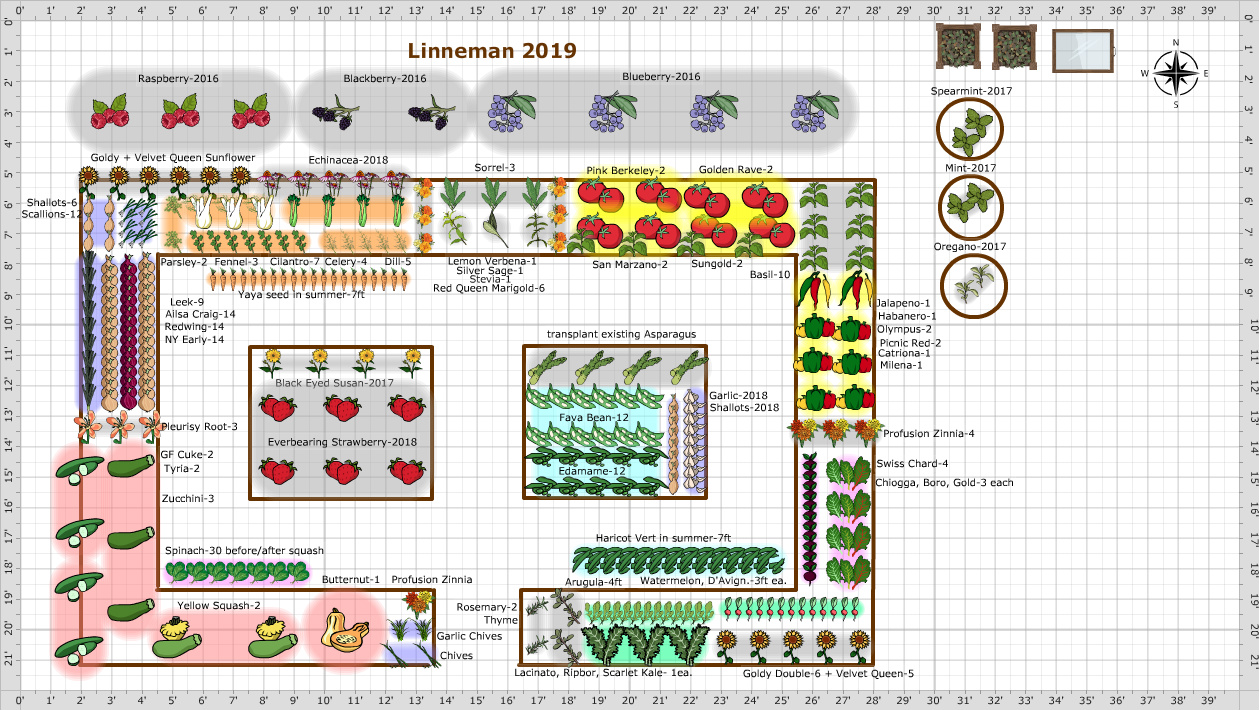 Garden Plan - 2019: Linnemann