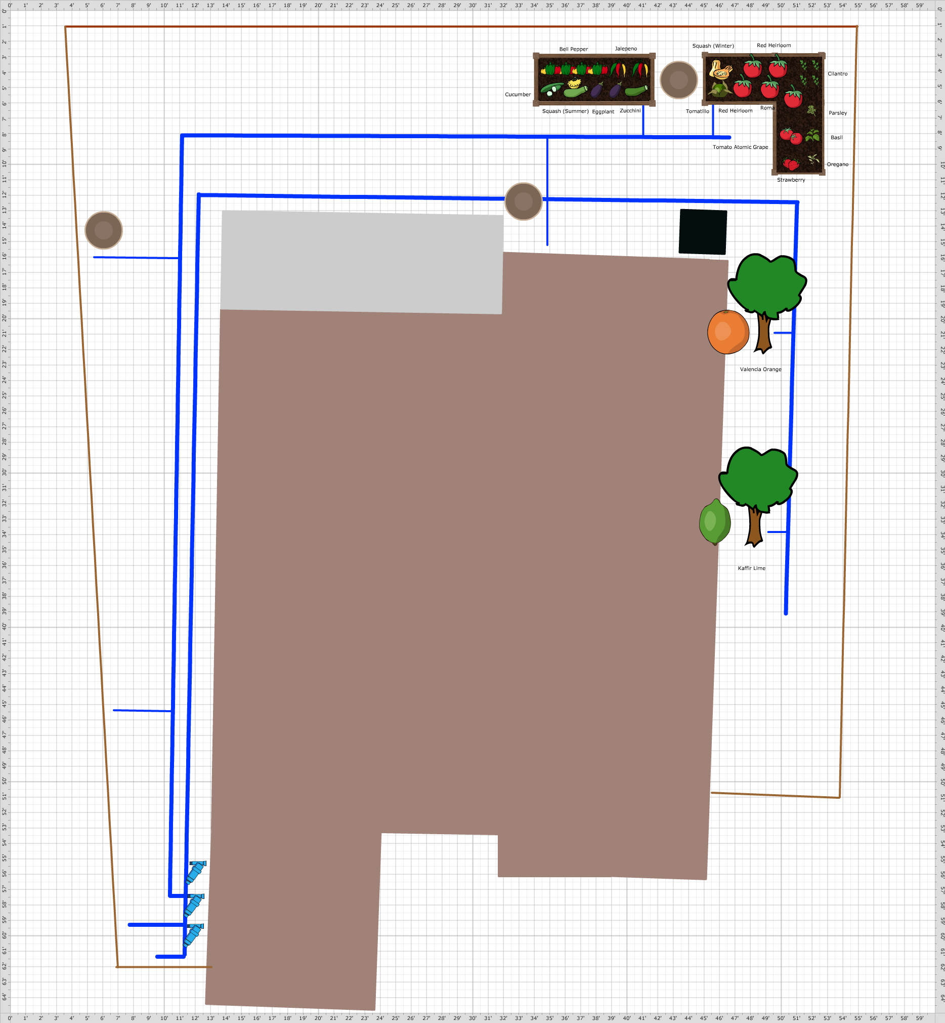 Garden Plan - 2016: Erin Colmar